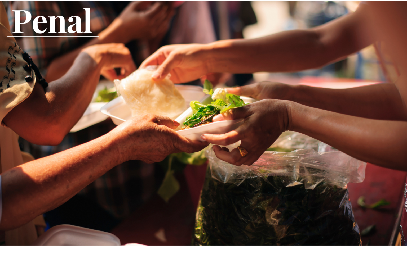 La denuncia no constituye un elemento material probatorio o evidencia ...