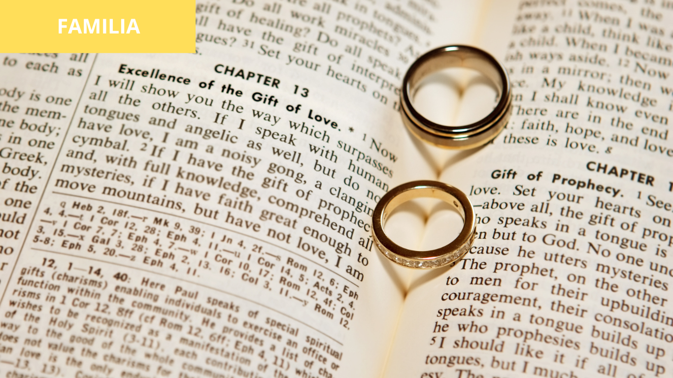 Requisitos para la conformación de la unión marital de hecho ...